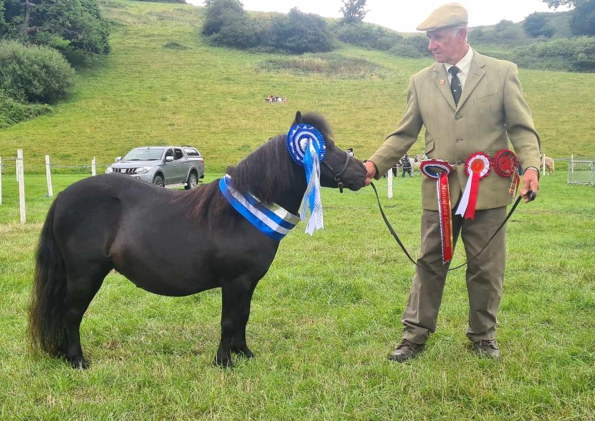 Dunster Country Fair 2023 – South West Shetland Pony Group